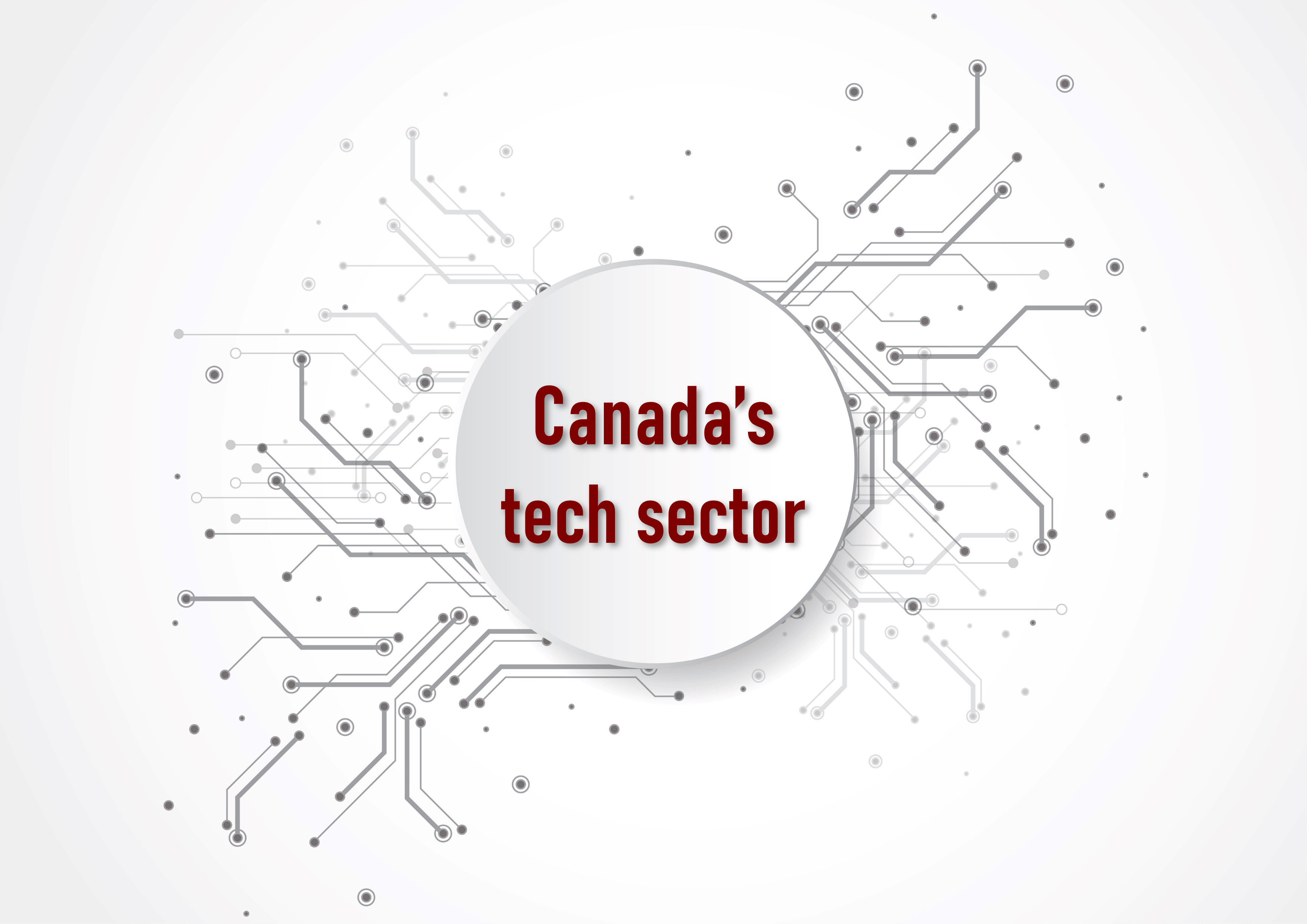 A Key to Canada’s Tech Sector … And Why The Feds Cannot Screw It Up ...