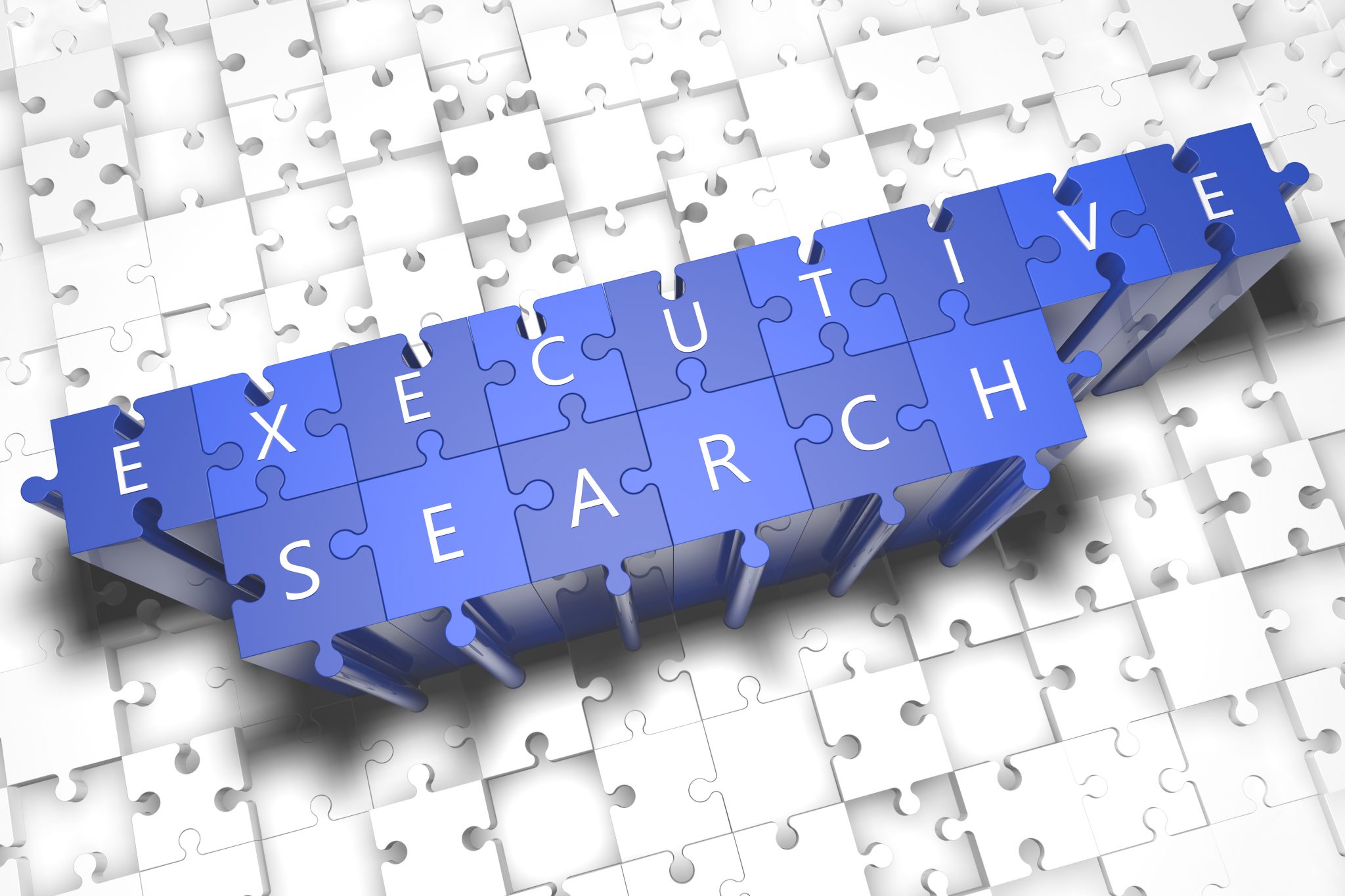 A LEADING EXECUTIVE SEARCH FIRM IN CANADA